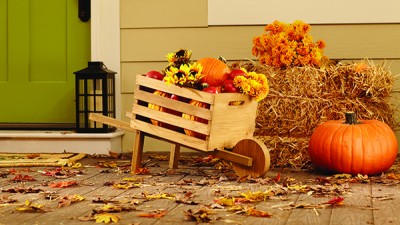 DIY Rustic Wheelbarrow