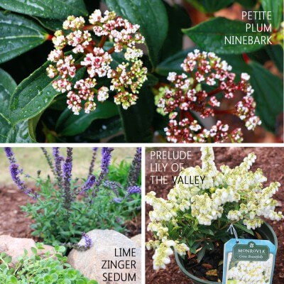 How To Create The Perfect Spring Garden - Home Made by Carmona