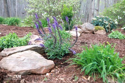 How To Create The Perfect Spring Garden - Home Made by Carmona