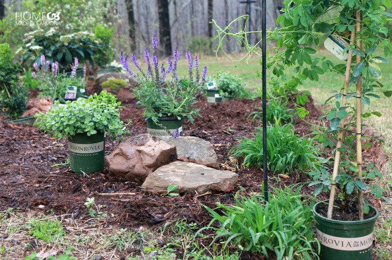 How To Create The Perfect Spring Garden
