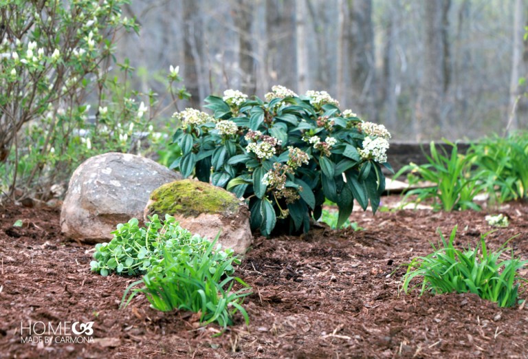 How To Create The Perfect Spring Garden