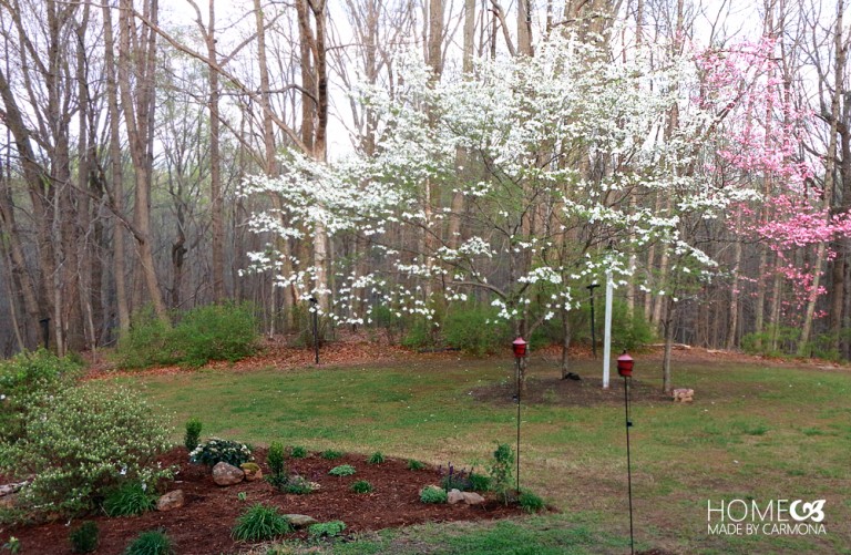 How To Create The Perfect Spring Garden