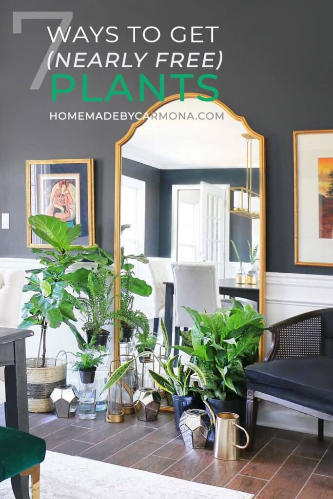 7 Ways To Get Cheap or Free Plants