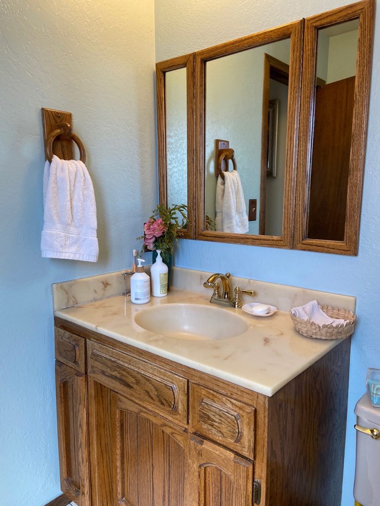 Bathroom Vanity Area