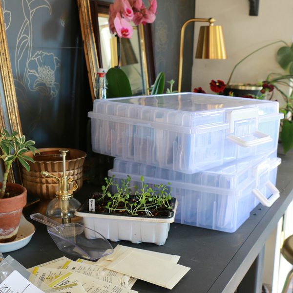 The Best Seed Storage for Keeping Seeds Organized!