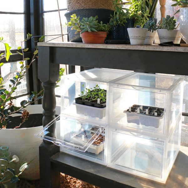 Carmona Acres: Gardening & Landscape